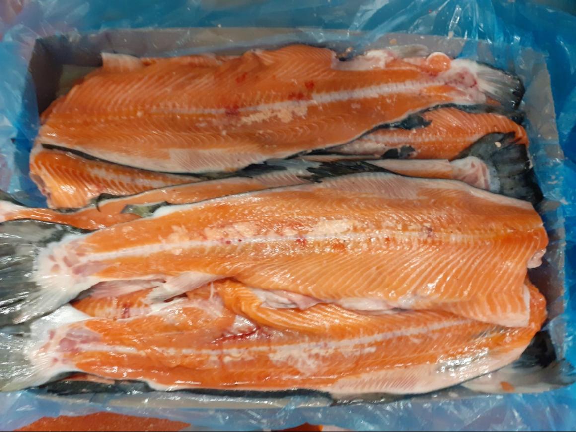 FROZEN SALMON FRAMES Salmon By-Products Fish and By-products WHOLESALE ...