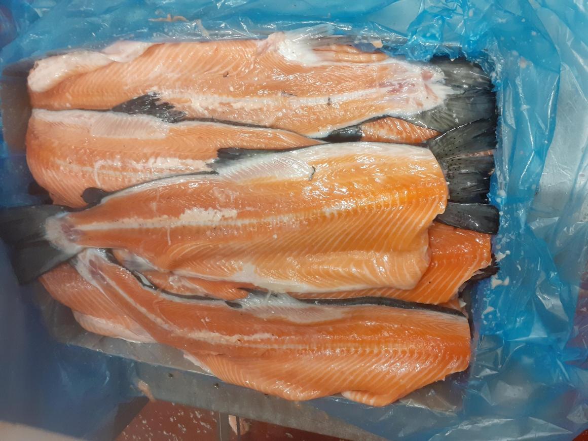 FROZEN SALMON FRAMES Salmon By-Products Fish and By-products WHOLESALE ...