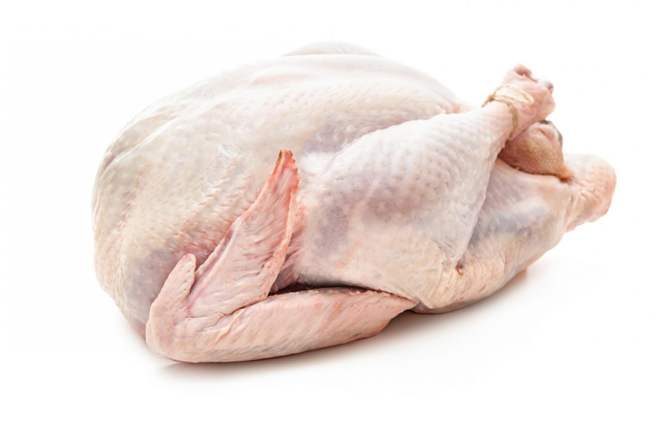 WHOLE BIRDS TURKEY POULTRY WHOLESALE WHOLESALE - Carnetrade.co.uk