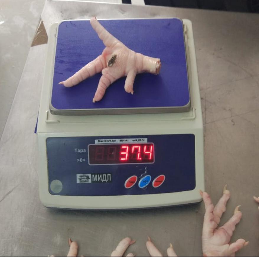 C-GRADE FROZEN PAWS CHICKEN POULTRY WHOLESALE WHOLESALE - Carnetrade.co.uk