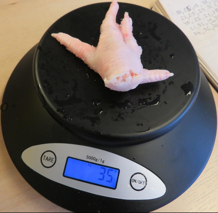 A-GRADE FROZEN PAWS CHICKEN POULTRY WHOLESALE WHOLESALE - Carnetrade.co.uk