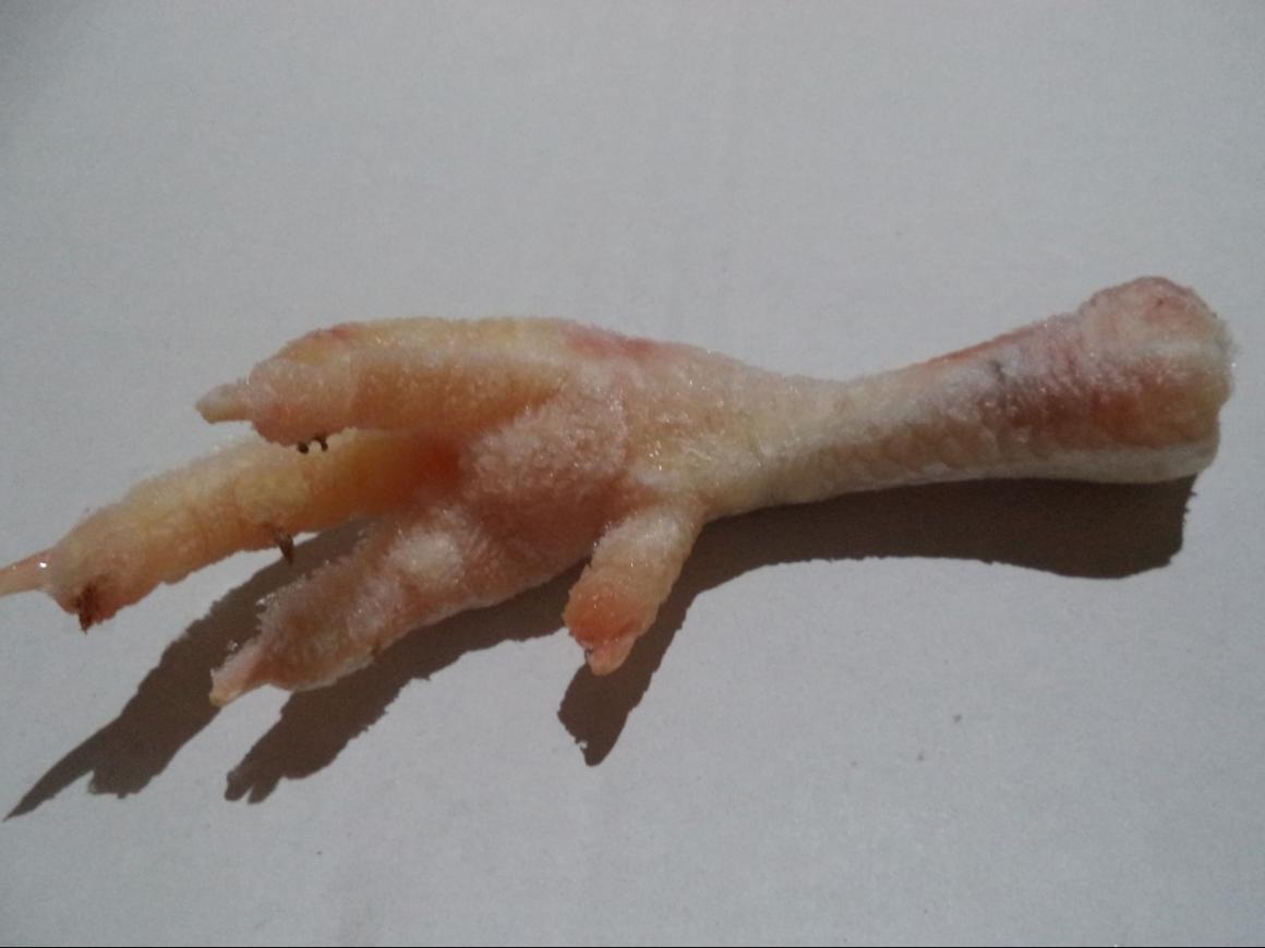 HEN FEET HEN POULTRY WHOLESALE WHOLESALE - Carnetrade.co.uk