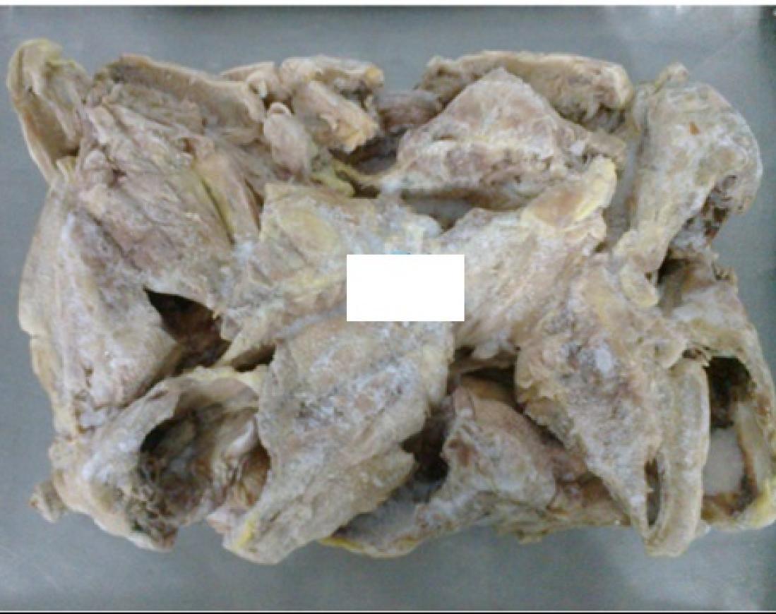 UPPER BACKS HEN POULTRY WHOLESALE WHOLESALE - Carnetrade.co.uk