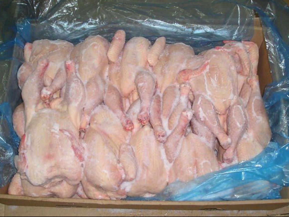 WHOLE BIRDS TURKEY POULTRY WHOLESALE WHOLESALE - Carnetrade.co.uk